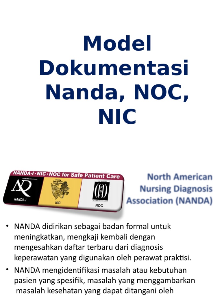 Model Dokumentasi NANDA, NIC, NOC | PDF