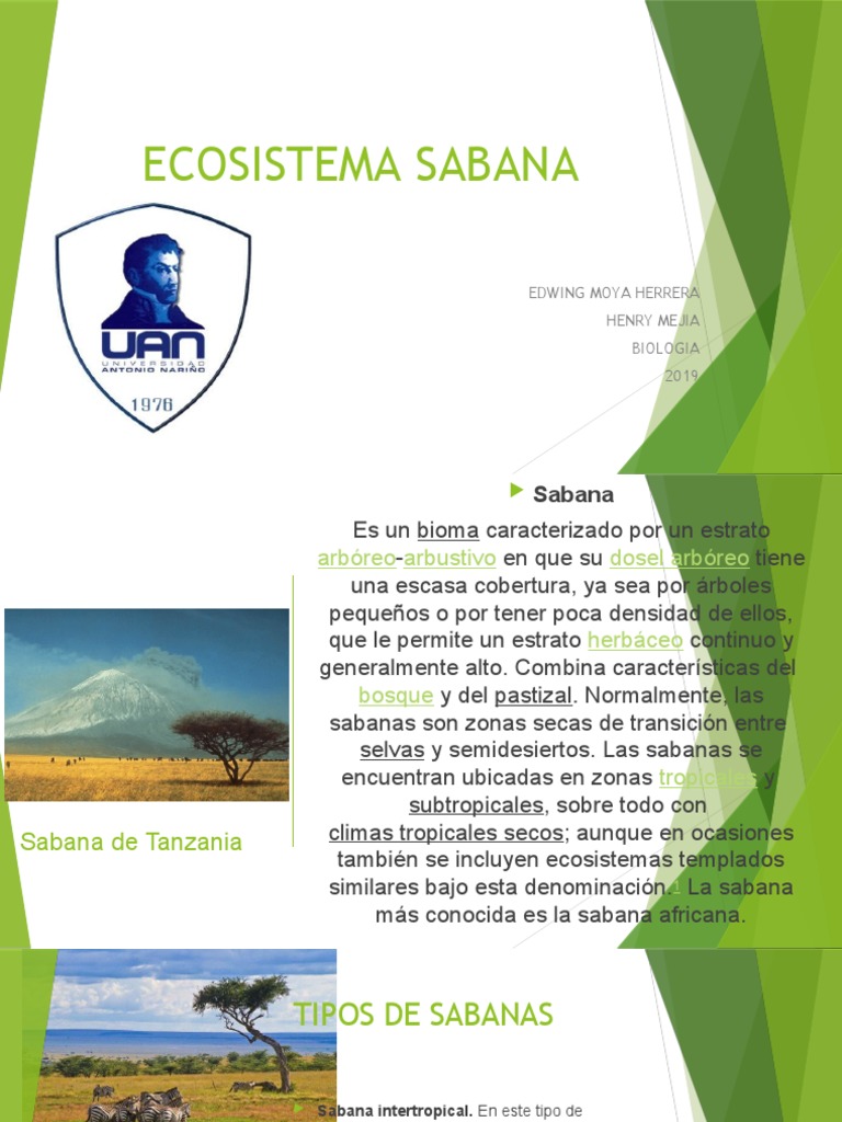 Biologia Sabana | PDF | Sabana | Ecología