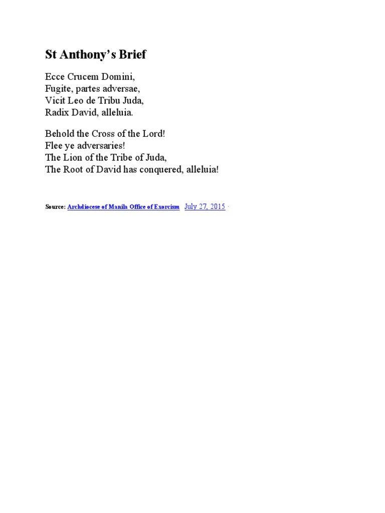 St. Anthony's Brief PDF | PDF