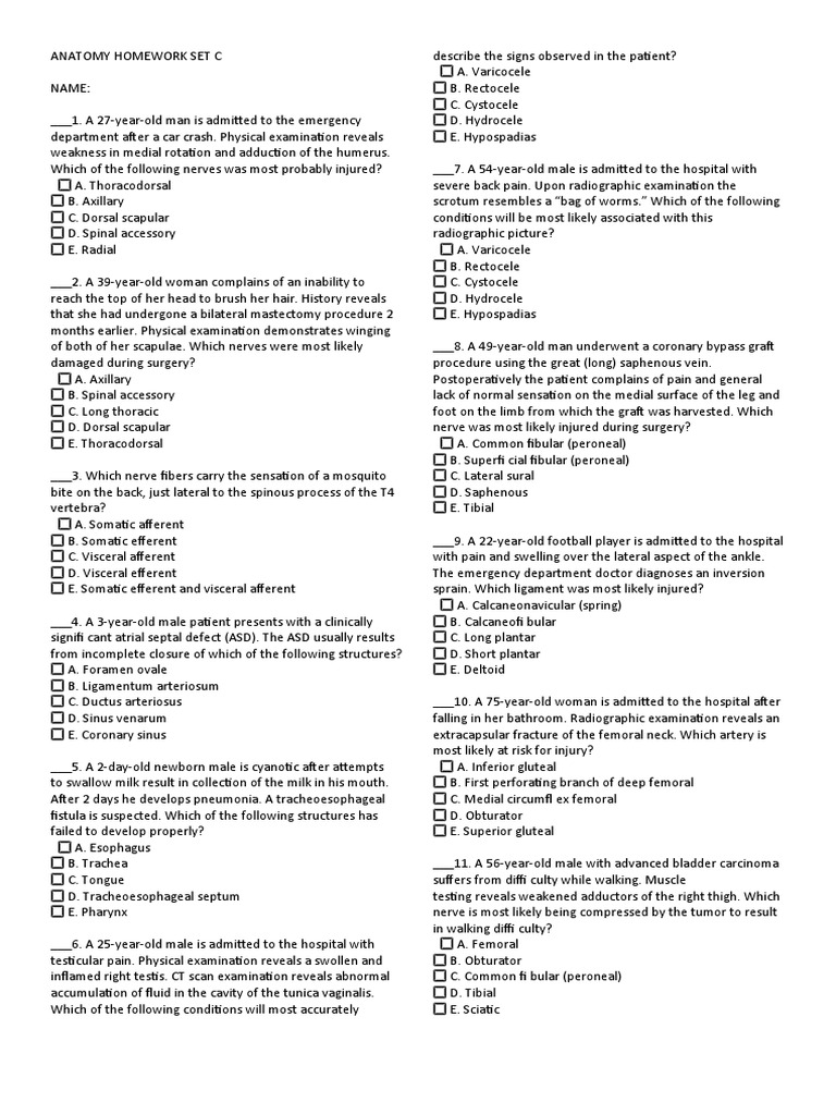 Anatomy Homework Set C | PDF | Human Anatomy | Musculoskeletal System