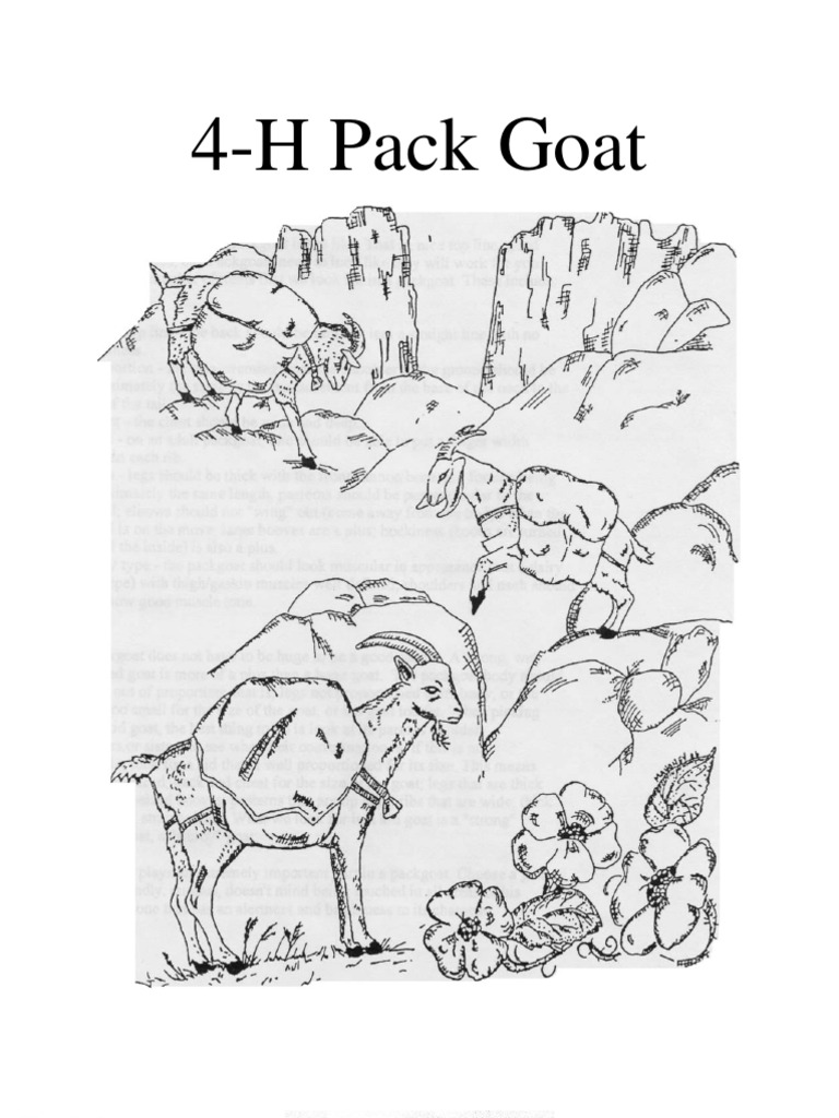4-H Pack Goat Project Handbook | PDF | Goat | Livestock