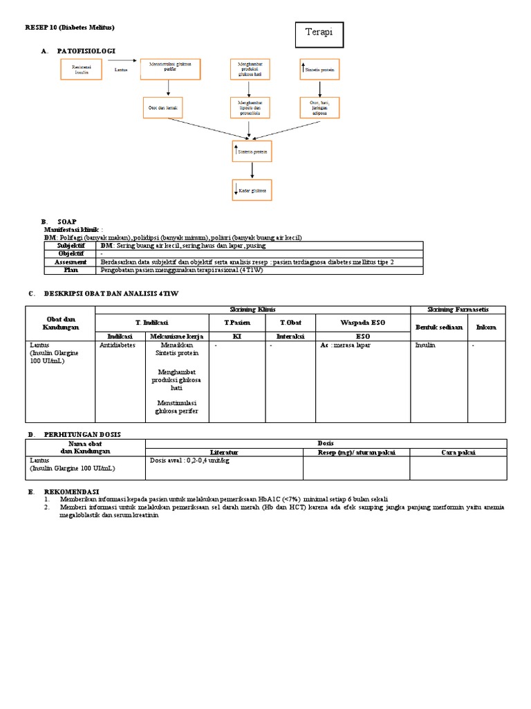 RESEP 10 DM (Insulin) | PDF