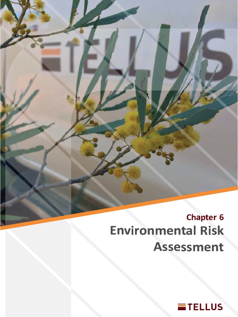 CH Eis - Chapter 06 - Environmental Risk Assessment | PDF | Risk ...