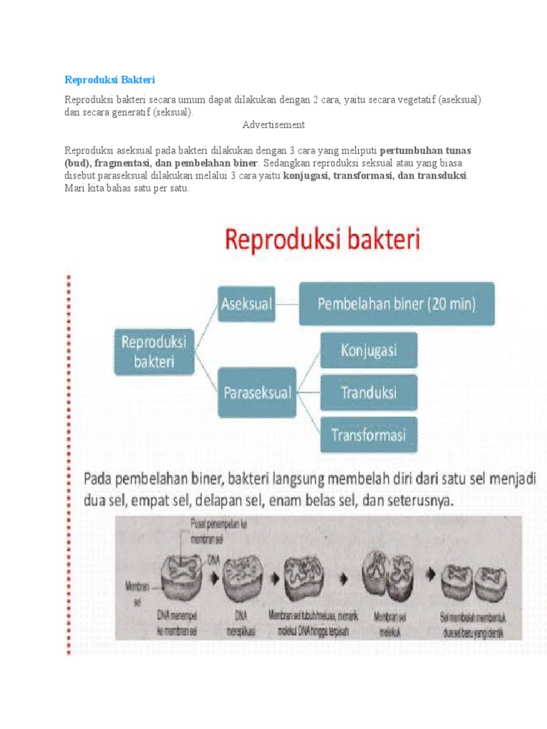 Reproduksi Bakteri | PDF