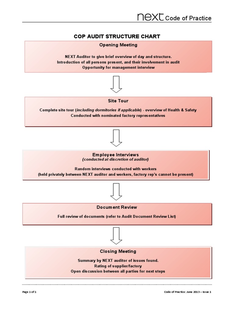 9 Audit Structure Chart - Issue 1 Aug 2007 | PDF