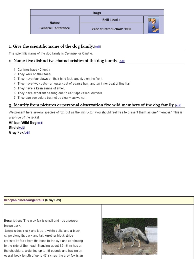 Give The Scientific Name of The Dog Family. 2. Name Five Distinctive ...