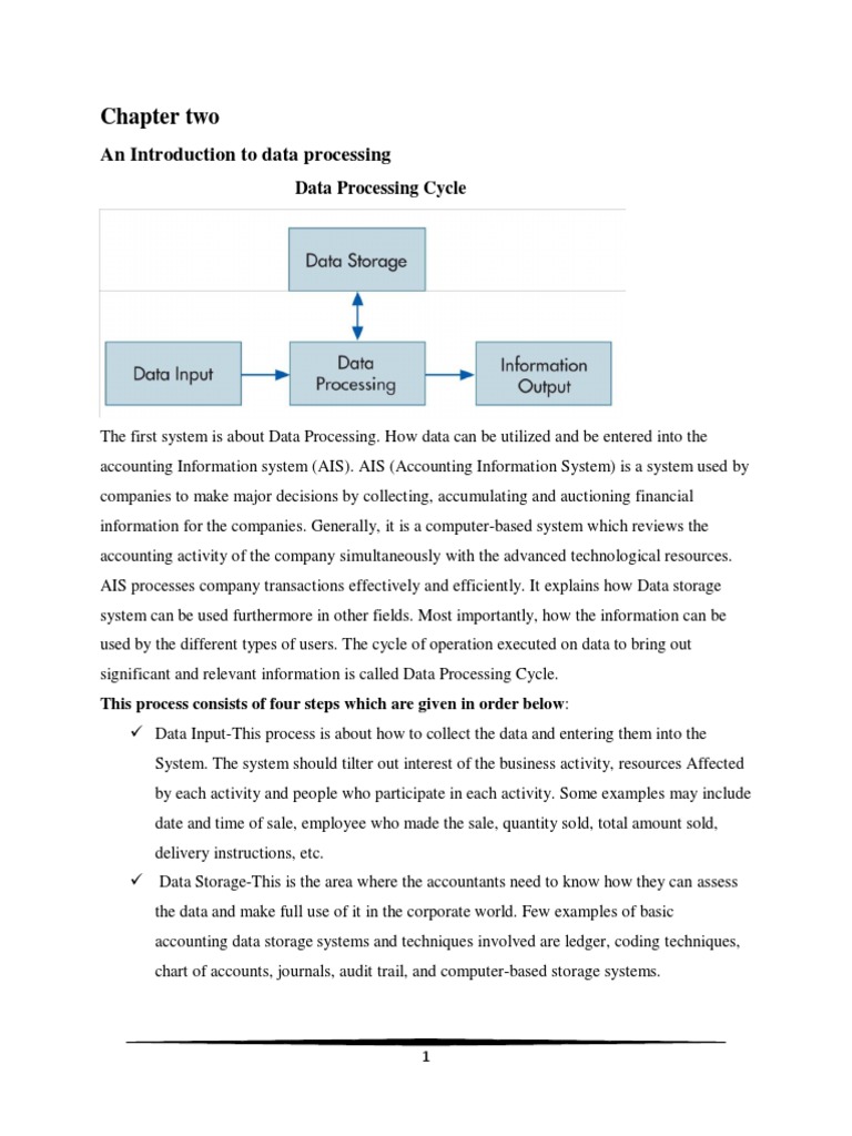 Chapter Two: An Introduction To Data Processing | PDF | Accounting | Audit