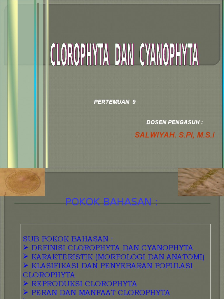 Clorophyta Dan Cyanophyta | PDF | Kesehatan Holistik