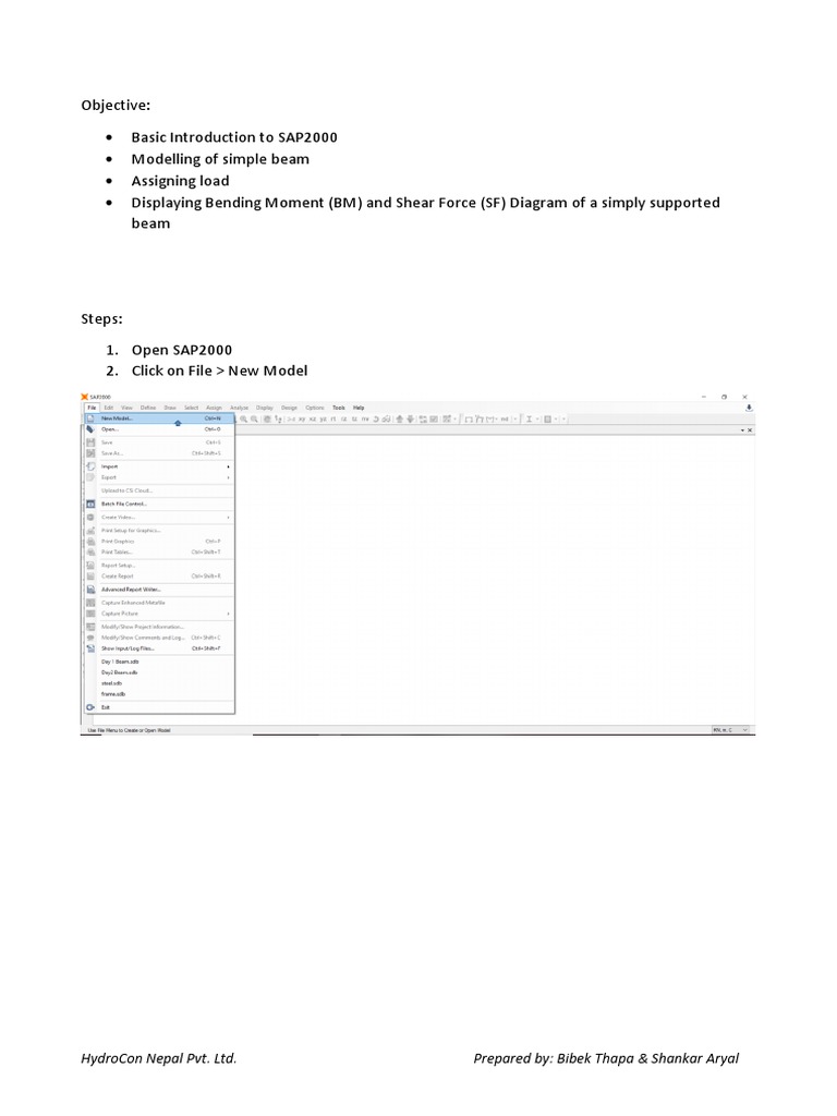 SAP2000 Beam Modeling Guide | PDF