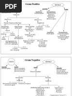 Biochemical Test and Identification of Staphylococcus Epidermidis | PDF ...