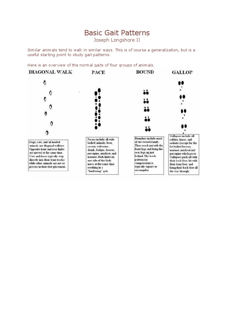 Basic Gait Patterns | PDF | Self-Improvement