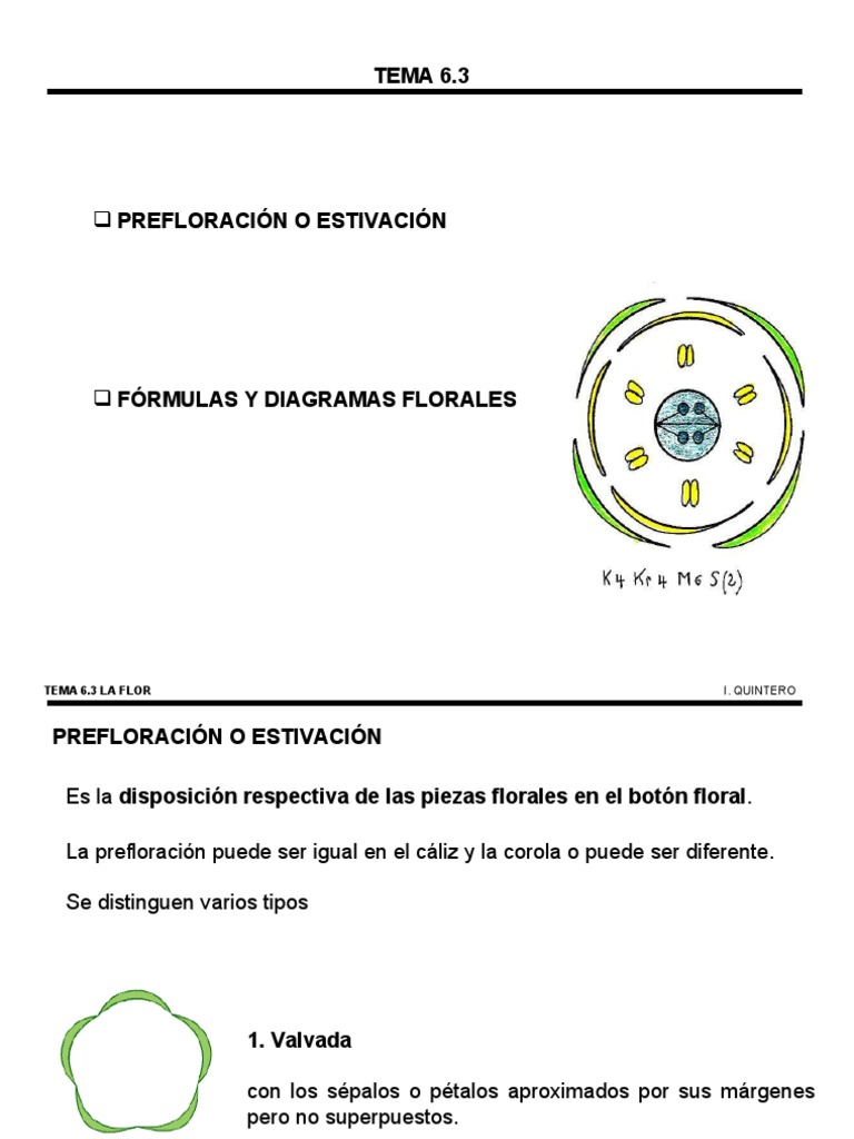 Tema 6.3. La Flor - Fórmulas y Diagramas Florales | PDF | Reproducción ...