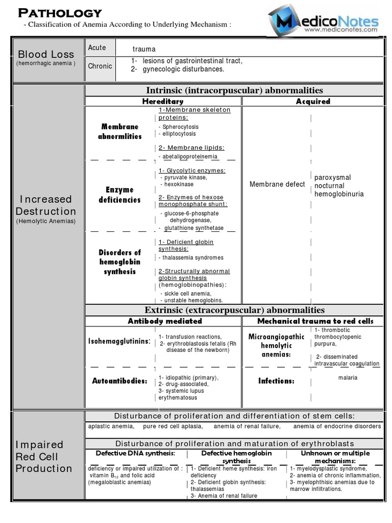 Classification of Anemia | PDF | Anemia | Spleen