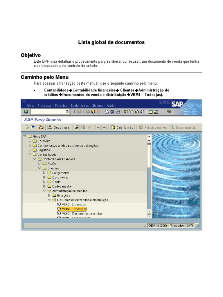 Aprenda VKM4 | PDF | Crédito | Finanças e Administração de Capital
