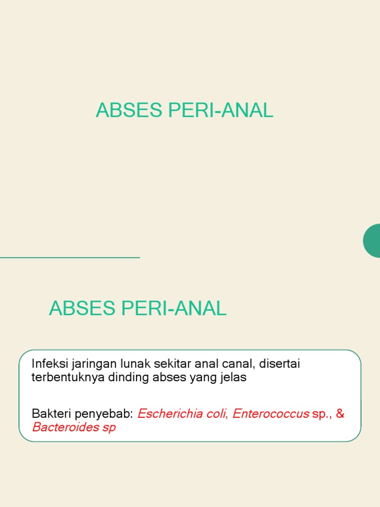 Abses Perianal | PDF