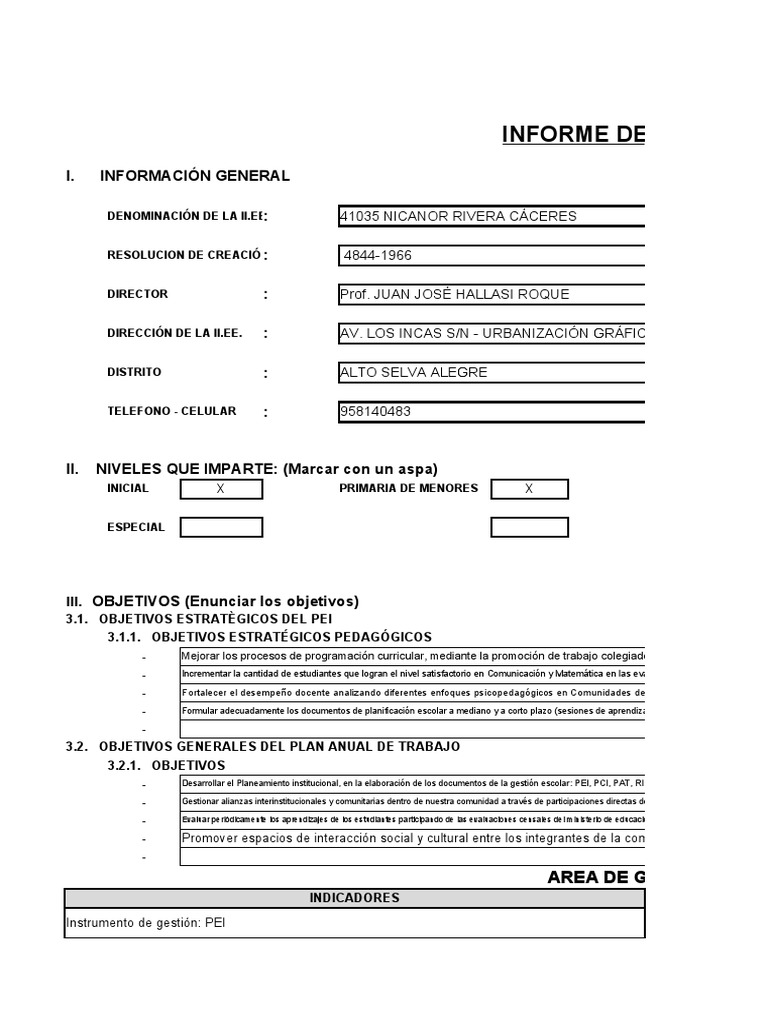 Informe de Gestion Anual (Iga) Ie41035nrc 2019 | PDF | Maestros | Planificación