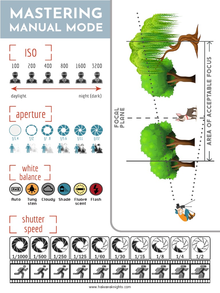 Mastering Manual Cheat Sheet | PDF