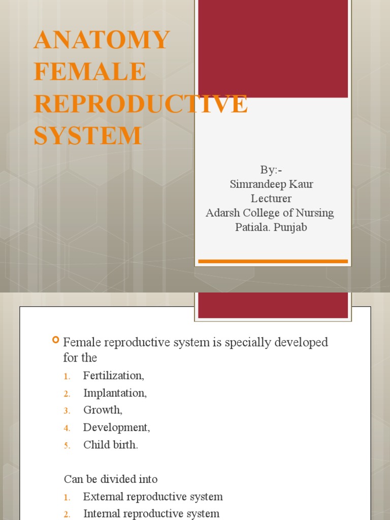 Female Reproductive System Anatomy | PDF | Nature | Uterus