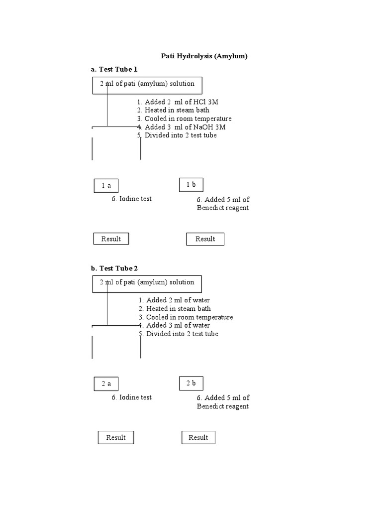 Pati Hydrolysis (Amylum) A. Test Tube 1 | PDF