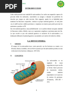 Fitomejoramiento - Endogamia y Heterosis | PDF | Endogamia | Dominancia (Genética)