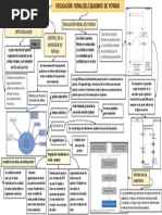 OXIGENO Mapa Conceptual | PDF | Oxígeno | Hemoglobina