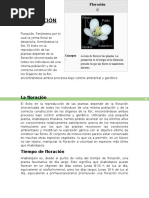 Fitomejoramiento - Endogamia y Heterosis | PDF | Endogamia | Dominancia (Genética)