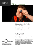 Sheep Eye Dissection Guide | PDF | Eye | Senses