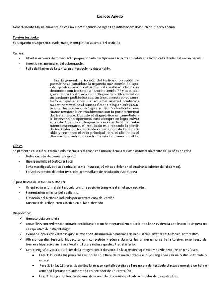 Escroto Agudo | PDF | Testículo | Epidemiología