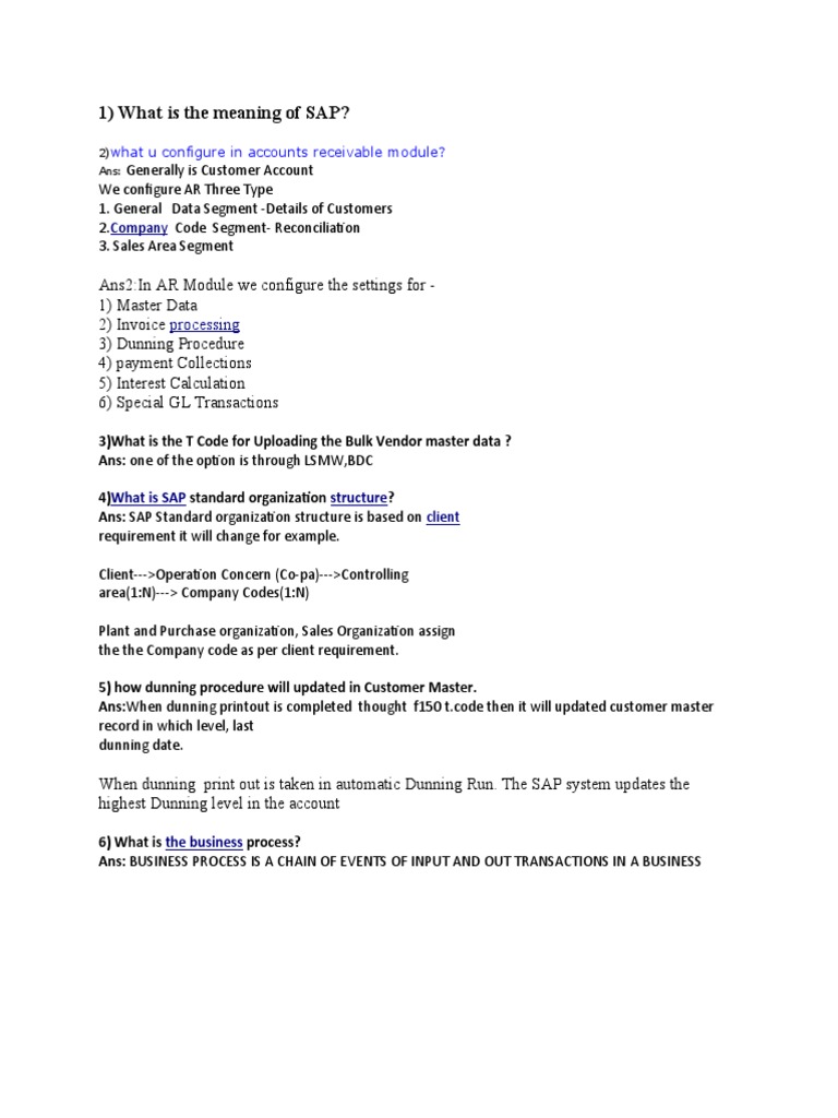 1) What Is The Meaning of SAP?: Processing | PDF