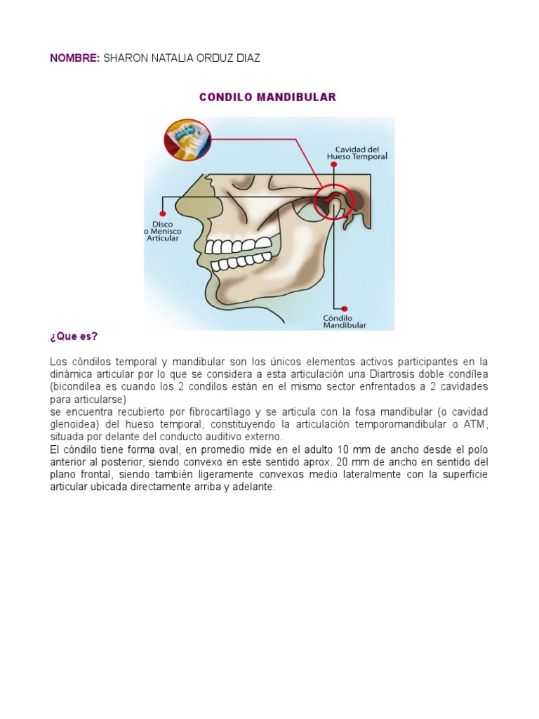 Condilo Mandibular | PDF