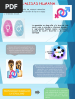 Triptico Sexualidad | PDF | La sexualidad humana | Pubertad