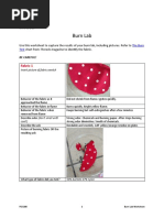 T168 Burn Test Chart | PDF | Rayon | Textiles