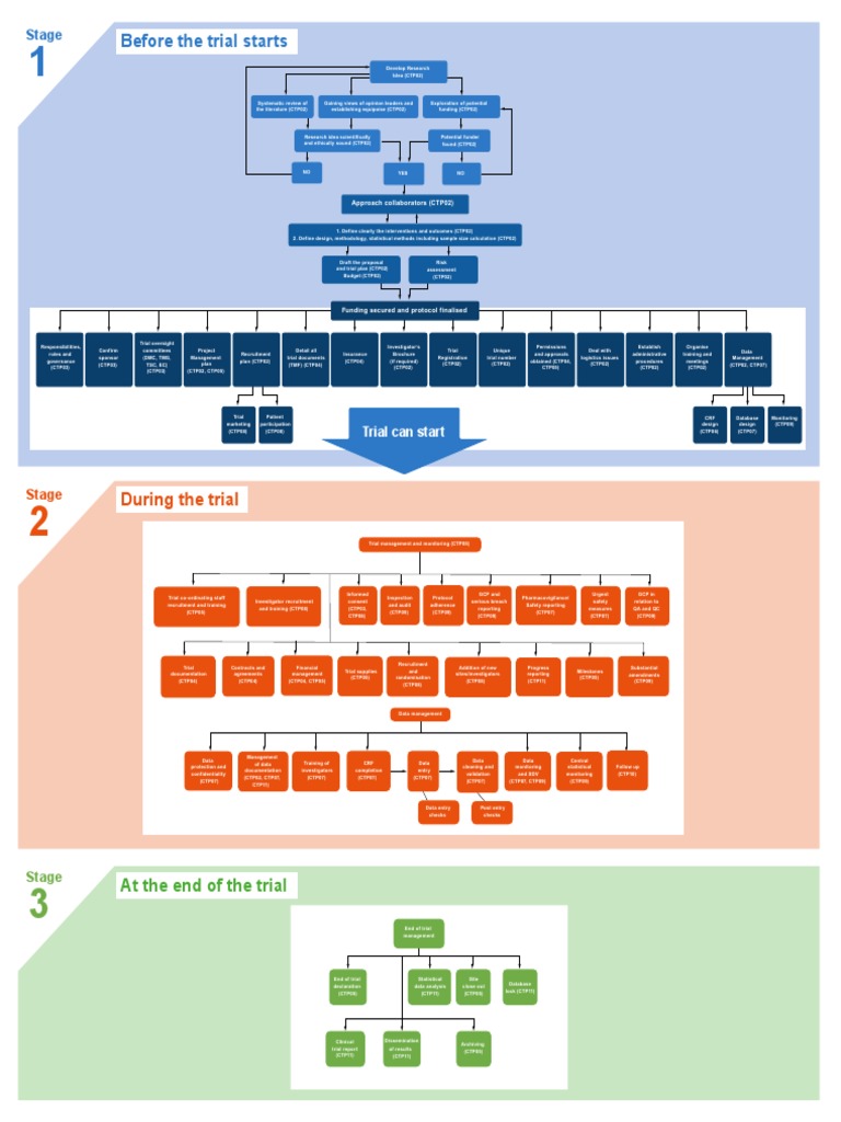 FlowChart EG | PDF | Systematic Review | Business