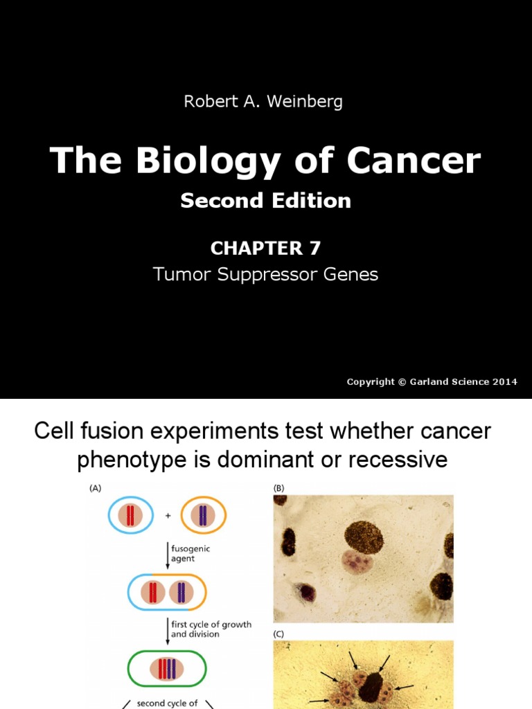 The Biology of Cancer: Second Edition | PDF | Transforming Growth ...