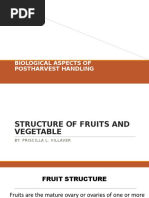 Maturity Indices in Fruits and Vegetables | PDF | Fruit | Vegetables