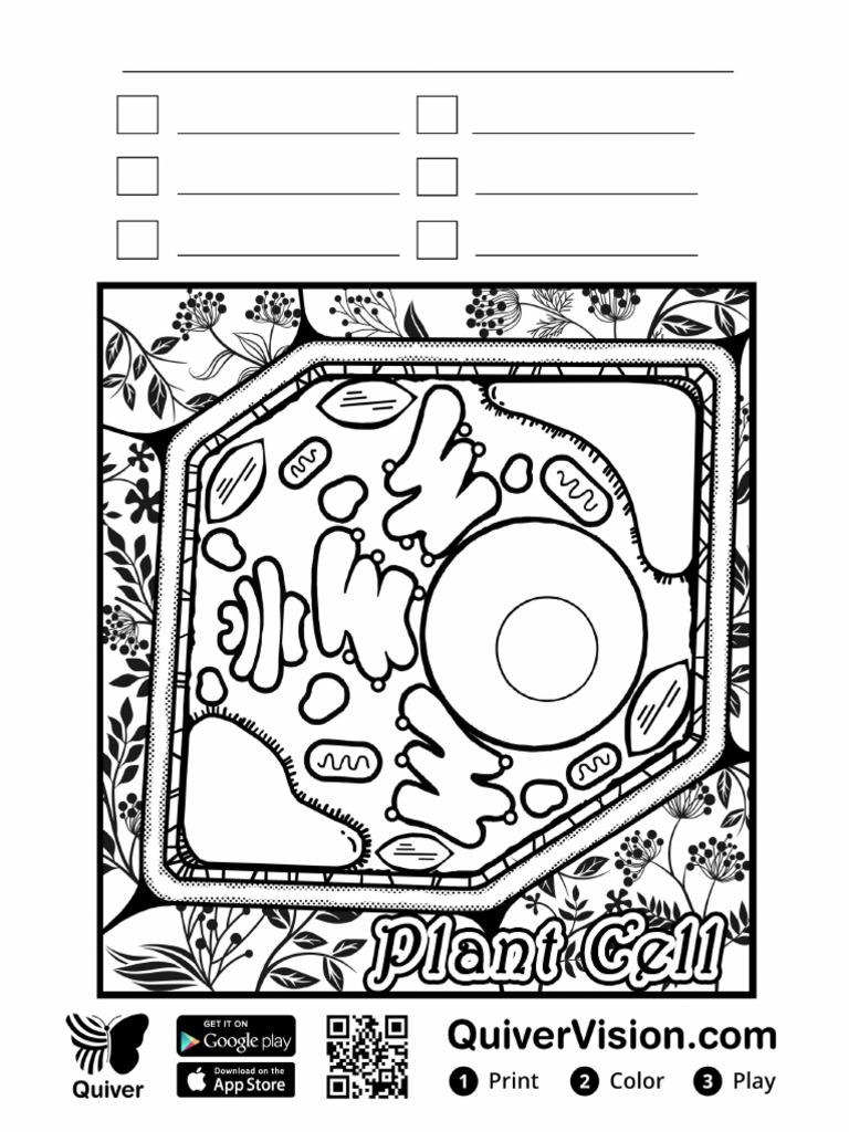 Plant Cell Print PDF | PDF