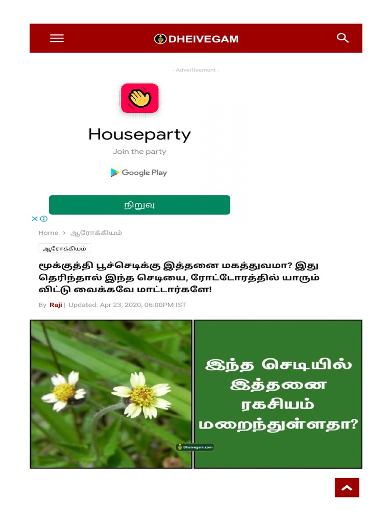 மூக்குத்தி பூ பயன்கள் Thatha thala vetti poo in Tamil | PDF