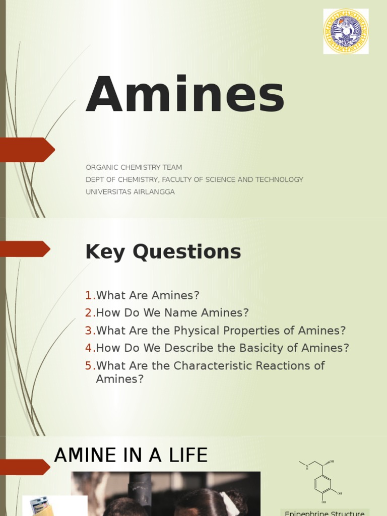 Kimia Dasar 2 Amina | PDF | Amine | Chemical Bond
