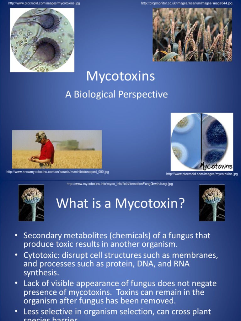 Mycotoxins | PDF | Mycotoxin | Fungus