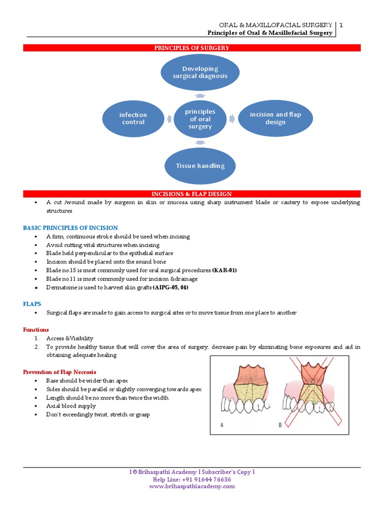 Flap Design Principles in Oral Surgery | PDF | Surgical Suture ...