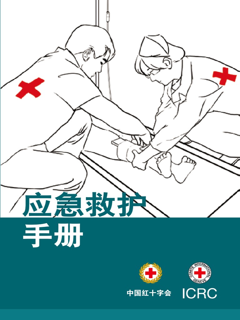 First Aid | PDF