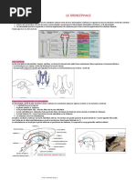 Rôle et anatomie du centre ovale cérébral | PDF | Cerveau | Cortex cérébral