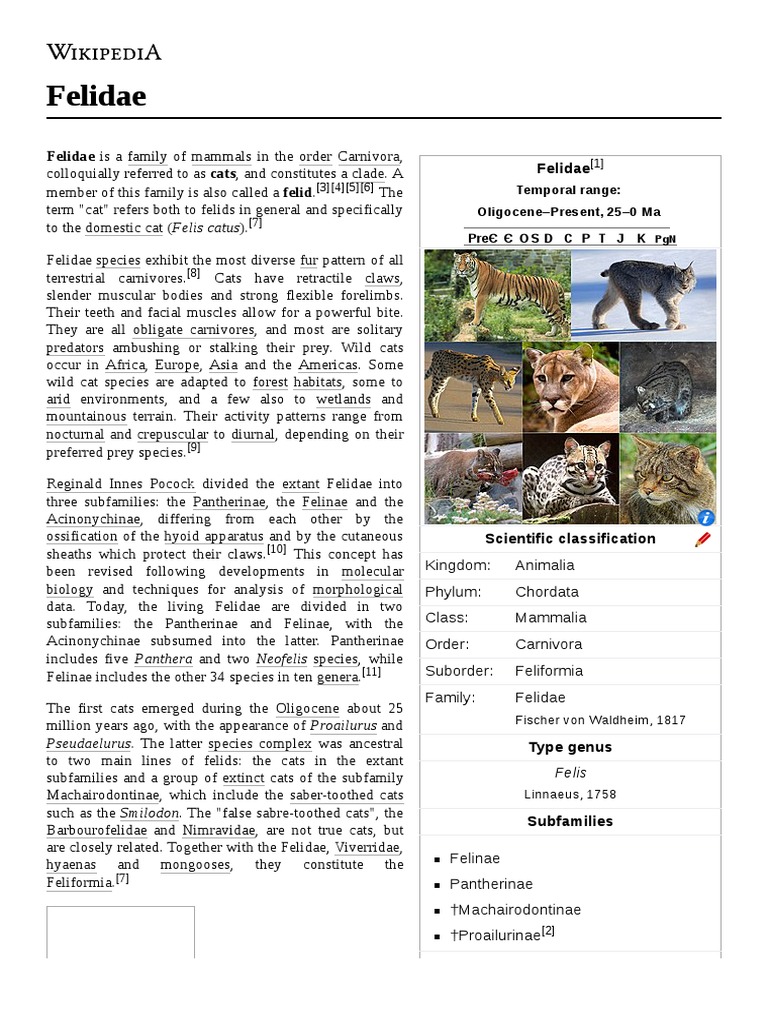 Felidae: Felidae Felidae Is A Family of Mammals in The Order Carnivora ...