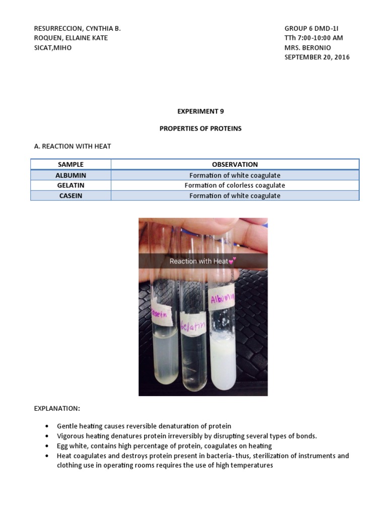 Experiment 9 Properties of Proteins | Download Free PDF | Nitric Acid ...