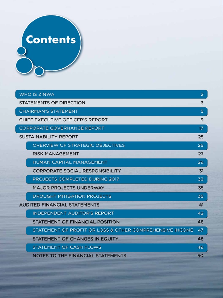 ZINWA Integrated Report 2017 PDF | PDF | Internal Control | Risk