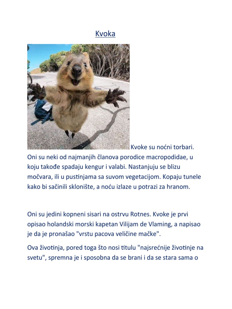 Kvoka | PDF