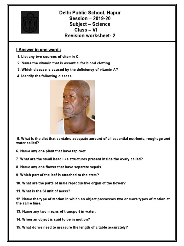 Grade 6 Science Revision Worksheet | PDF | Wellness