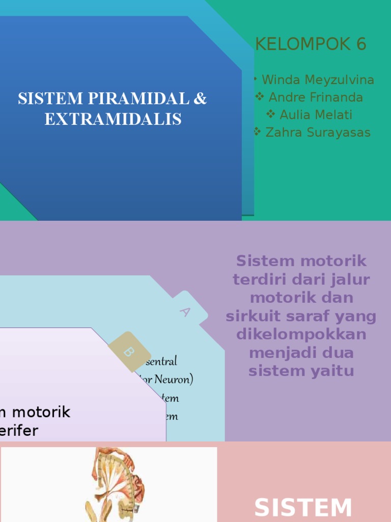 Sistem Piramydal, Sensoric Pathway, Dan Sensorik Integration | PDF