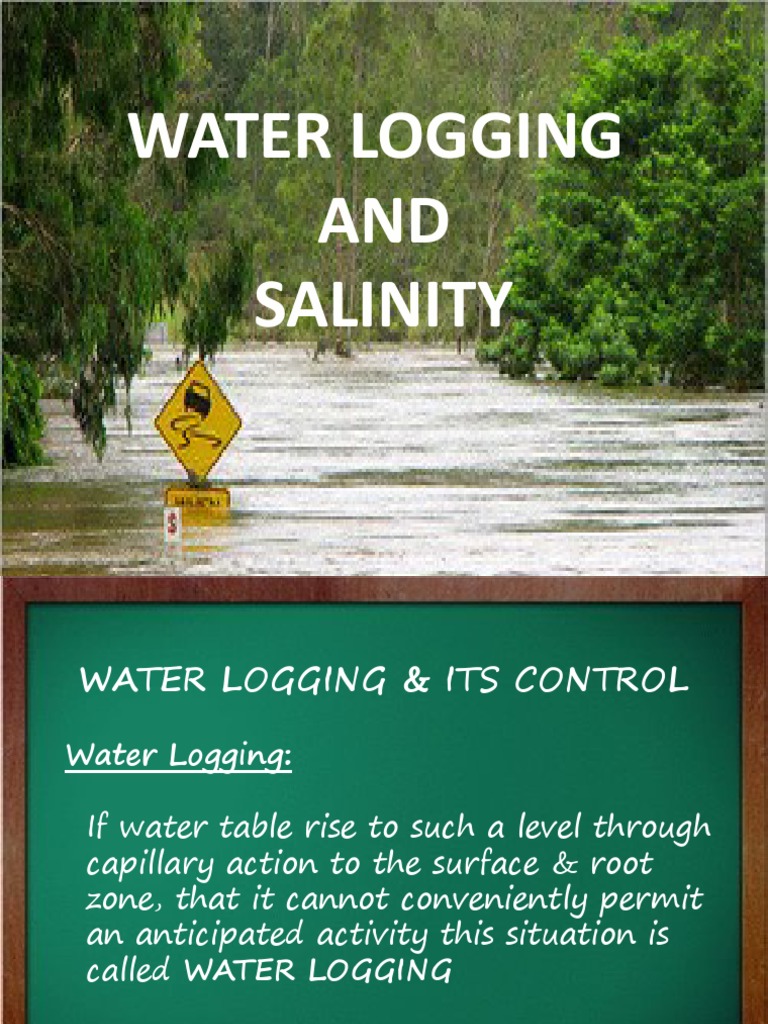 Managing Water Logging and Salinity Through Preventive and Curative ...