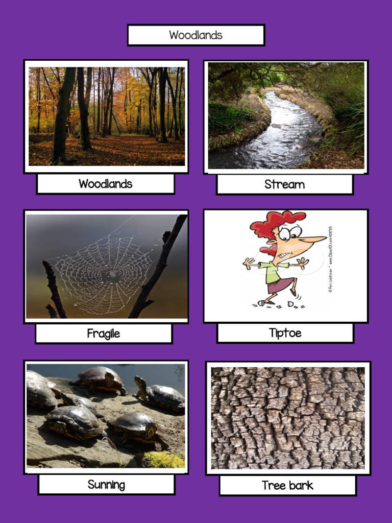 K Woodlands | PDF